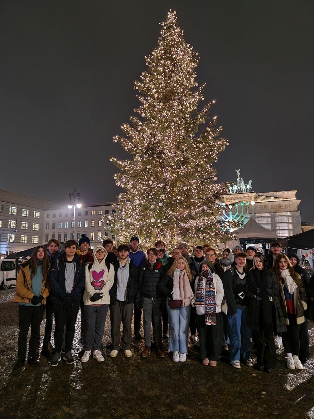 Berlin-Tree – Hardenhuish School